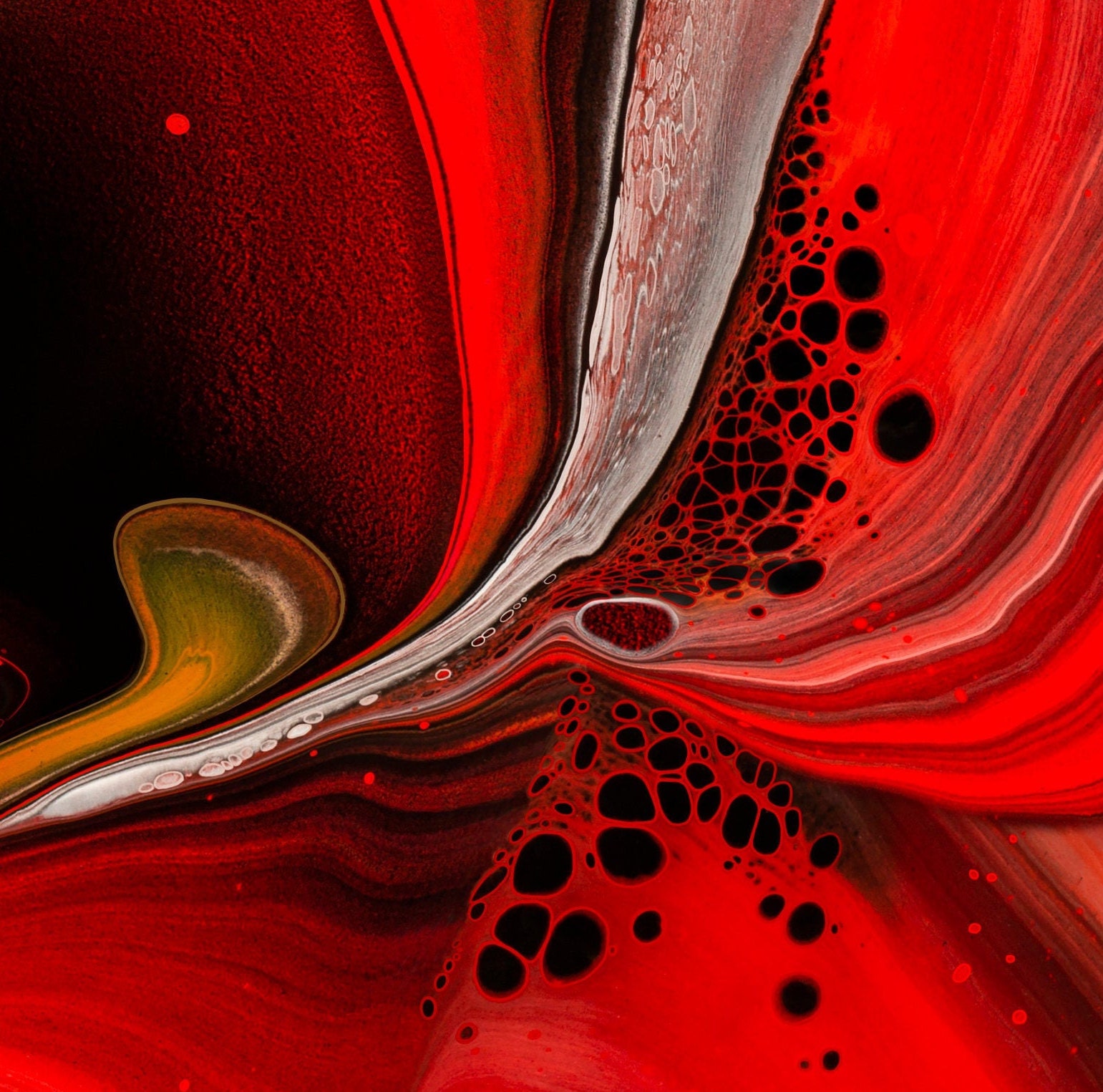 Limited Edition Giclee 'be Still My Beating Heart' - Etsy