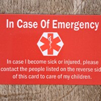 Backpack Tag - Child Identification Card - Allergy Tag - Child Safety ...