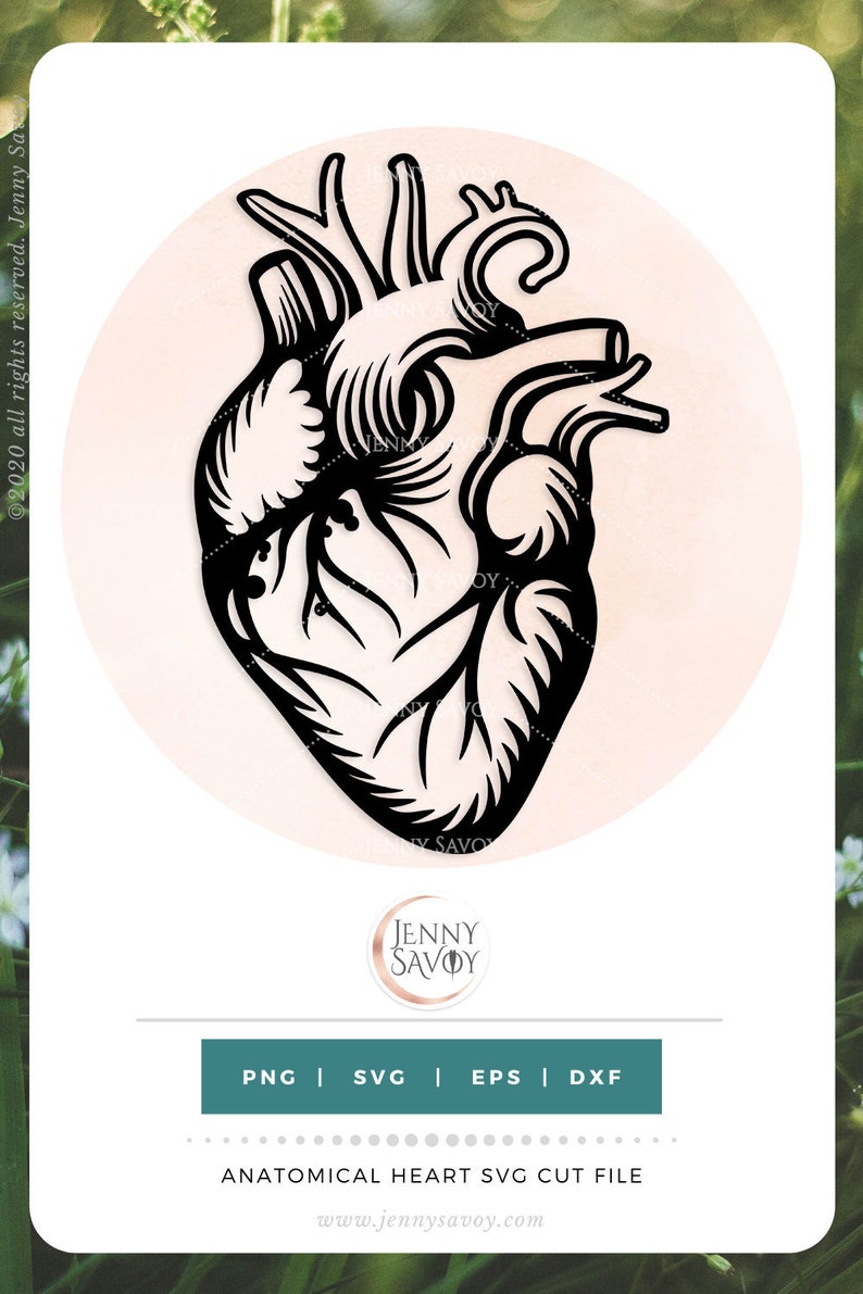 Anatomical Heart SVG Cutting File Human Heart svg Vector | Etsy