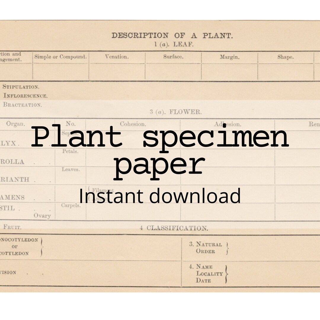 Vintage Plant Specimen Paper | Instant Download - Etsy