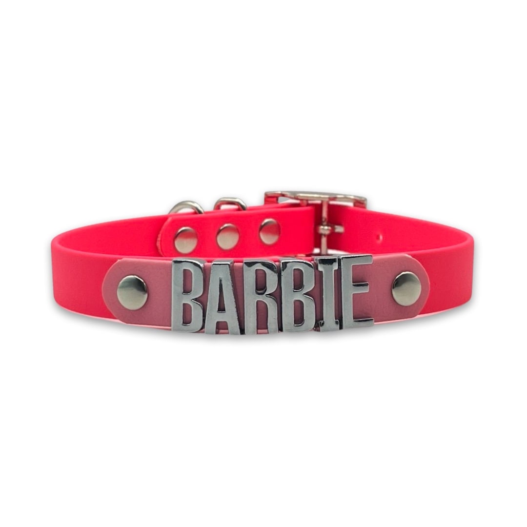 Barbie Name Biothane® Dog Collar - Etsy