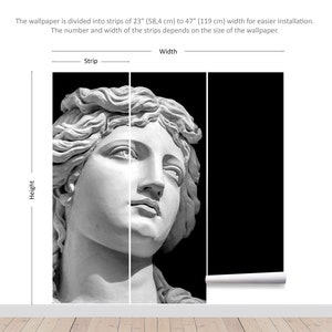 Renaissance Sculpture Wallpaper, Peel and Stick Wallpaper, Black and ...