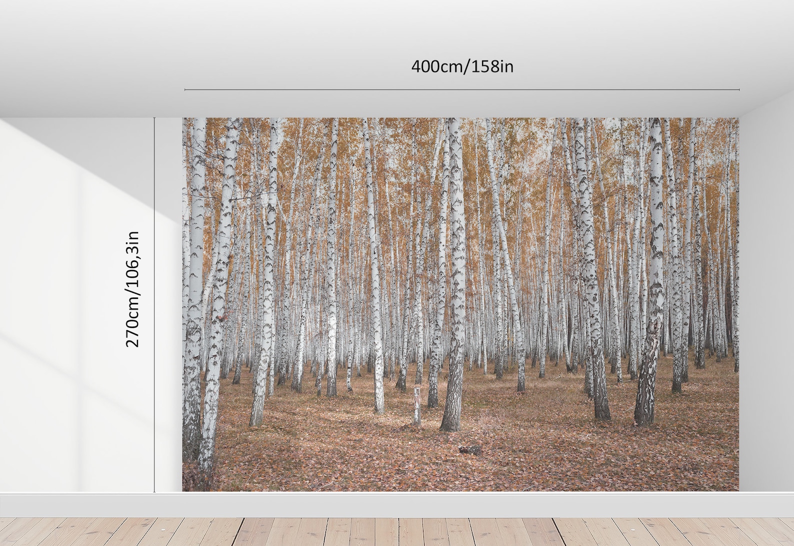 Birch Tree Forest Wallpaper Mural Peel and Stick Photo - Etsy