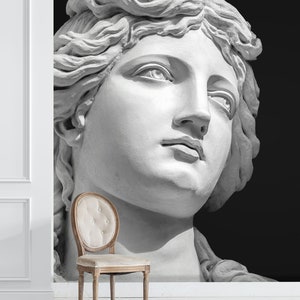 Renaissance Sculpture Wallpaper, Peel and Stick Wallpaper, Black and ...