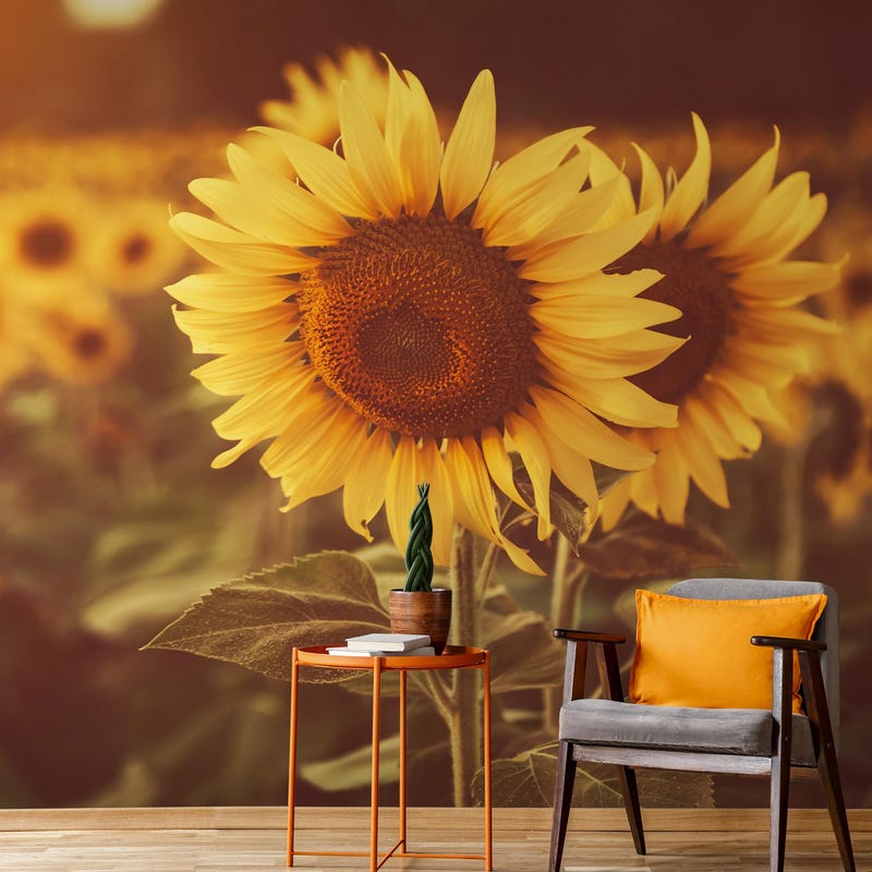 Sunflower Wallpaper - Etsy