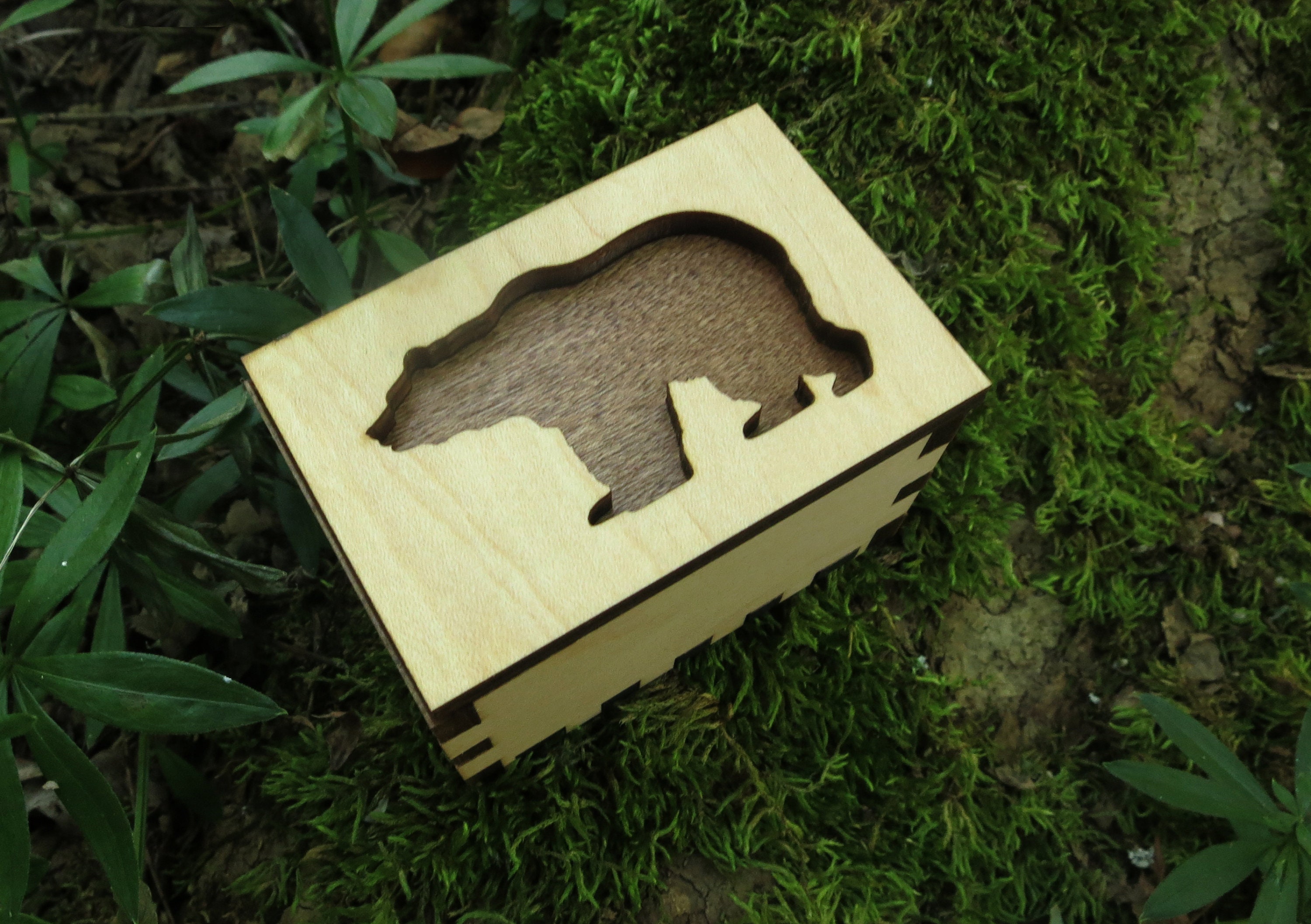 Bear Wooden Box Spirit Animal Totem Animal Power Animal - Etsy