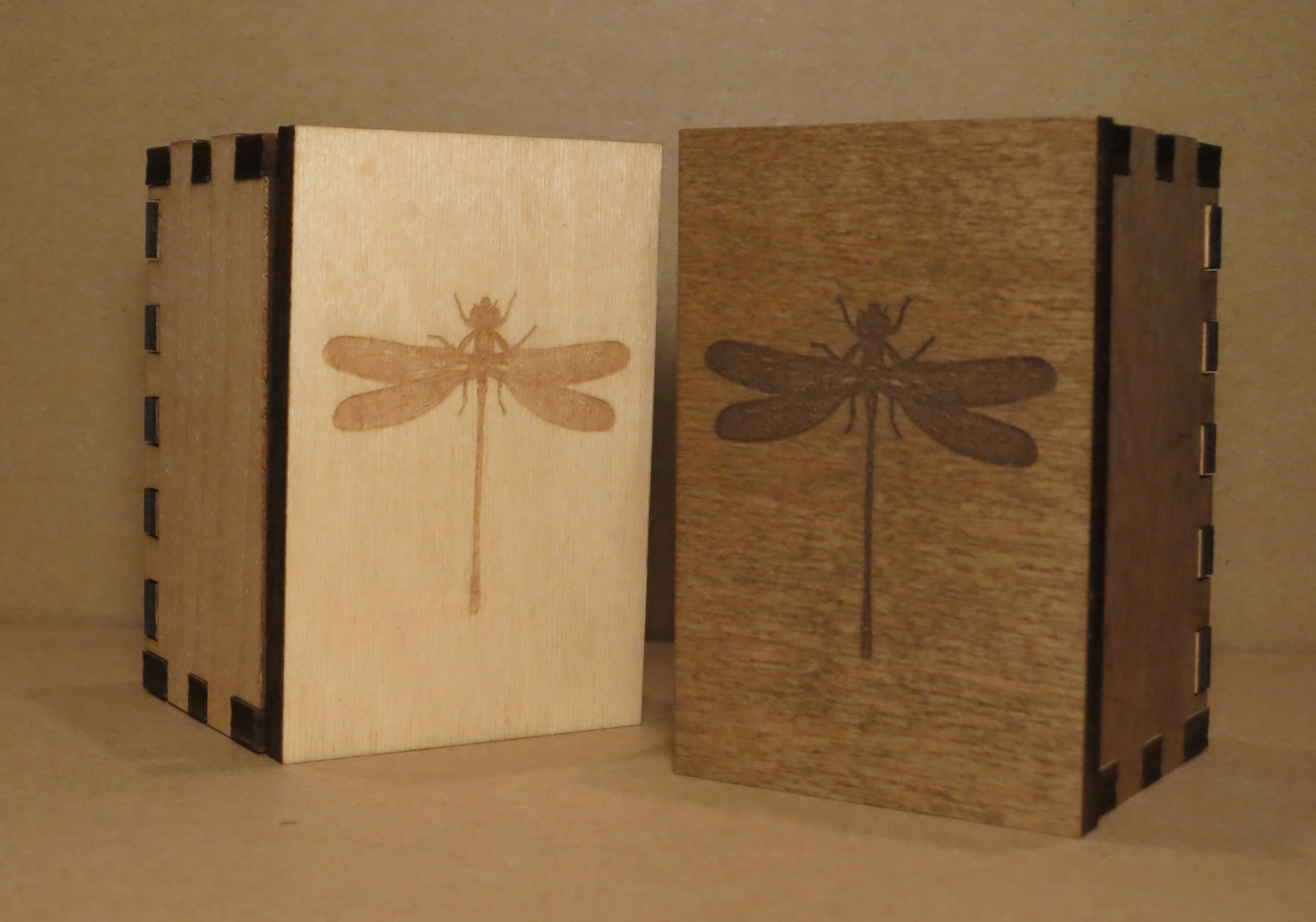 Dragonfly Box Engraved Spirit Animal Totem Animal Power | Etsy