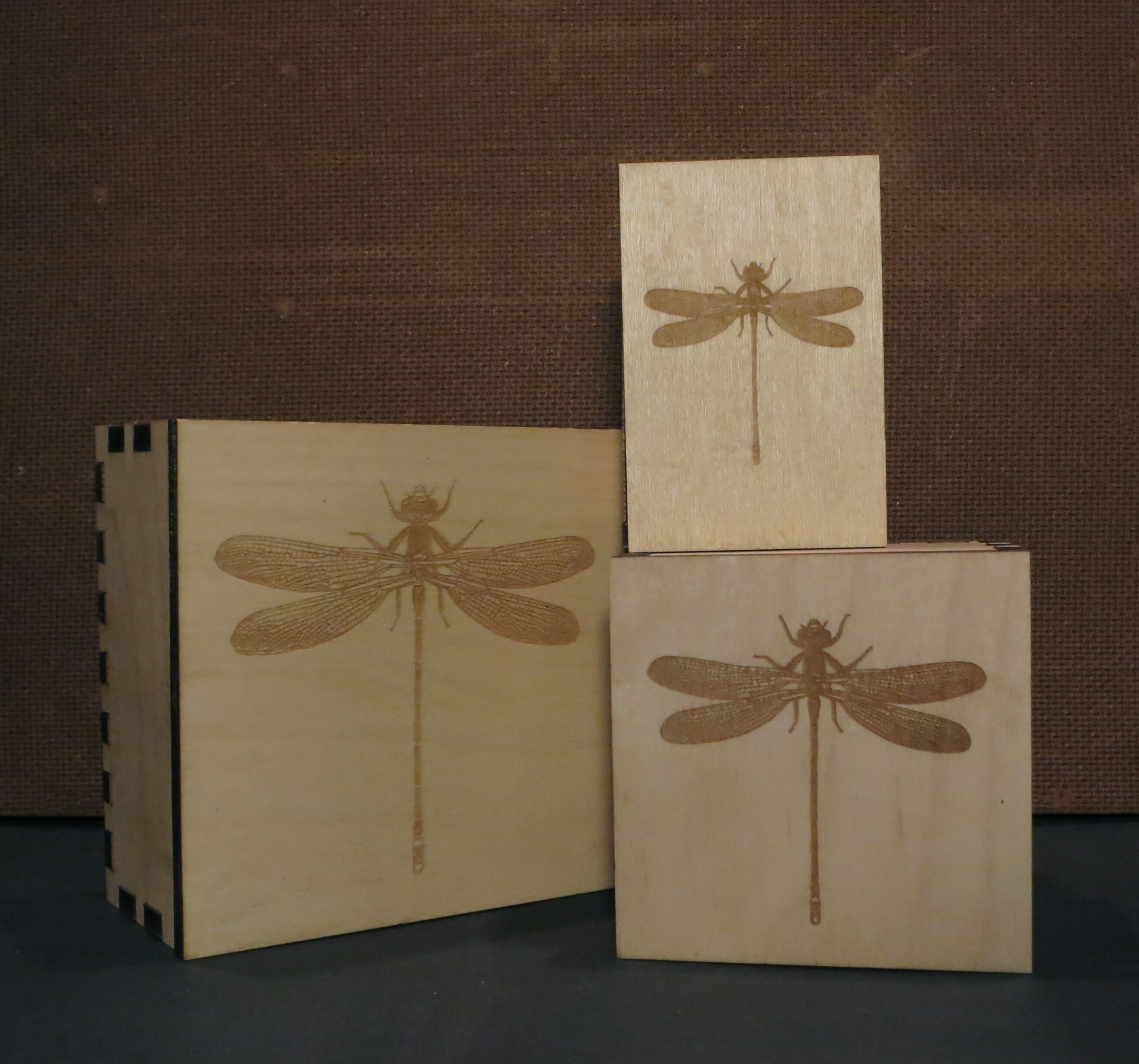 Dragonfly Box Engraved Spirit Animal Totem Animal Power | Etsy