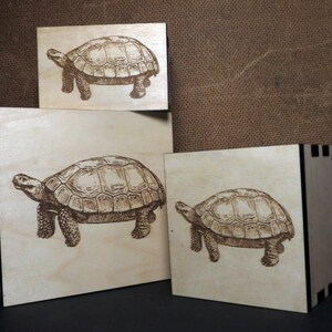 Turtle Box Engraved, Spirit Animal, Totem Animal, Power Animal, Turtle ...
