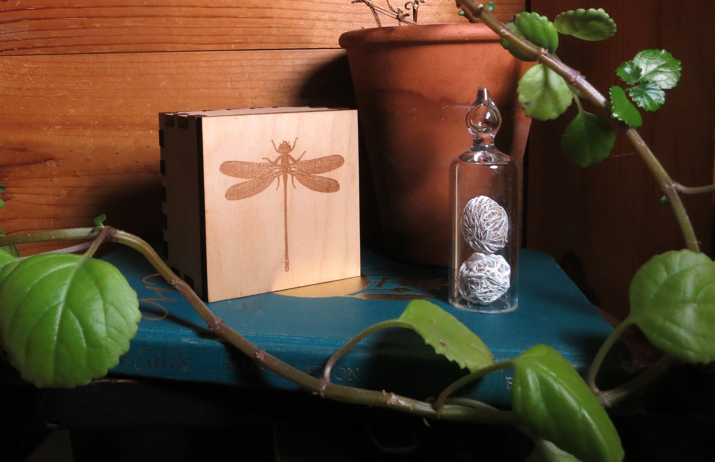Dragonfly Box Engraved Spirit Animal Totem Animal Power | Etsy