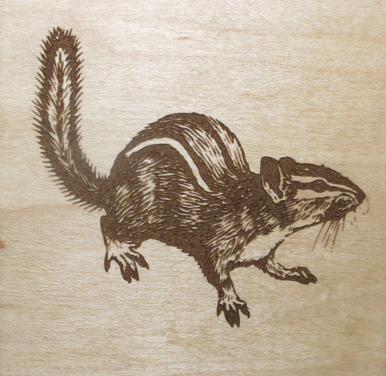 Chipmunk Box Engraved Spirit Animal Totem Animal Power - Etsy