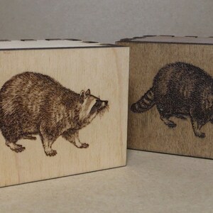 Raccoon Box Engraved, Spirit Animal, Totem Animal, Power Animal ...