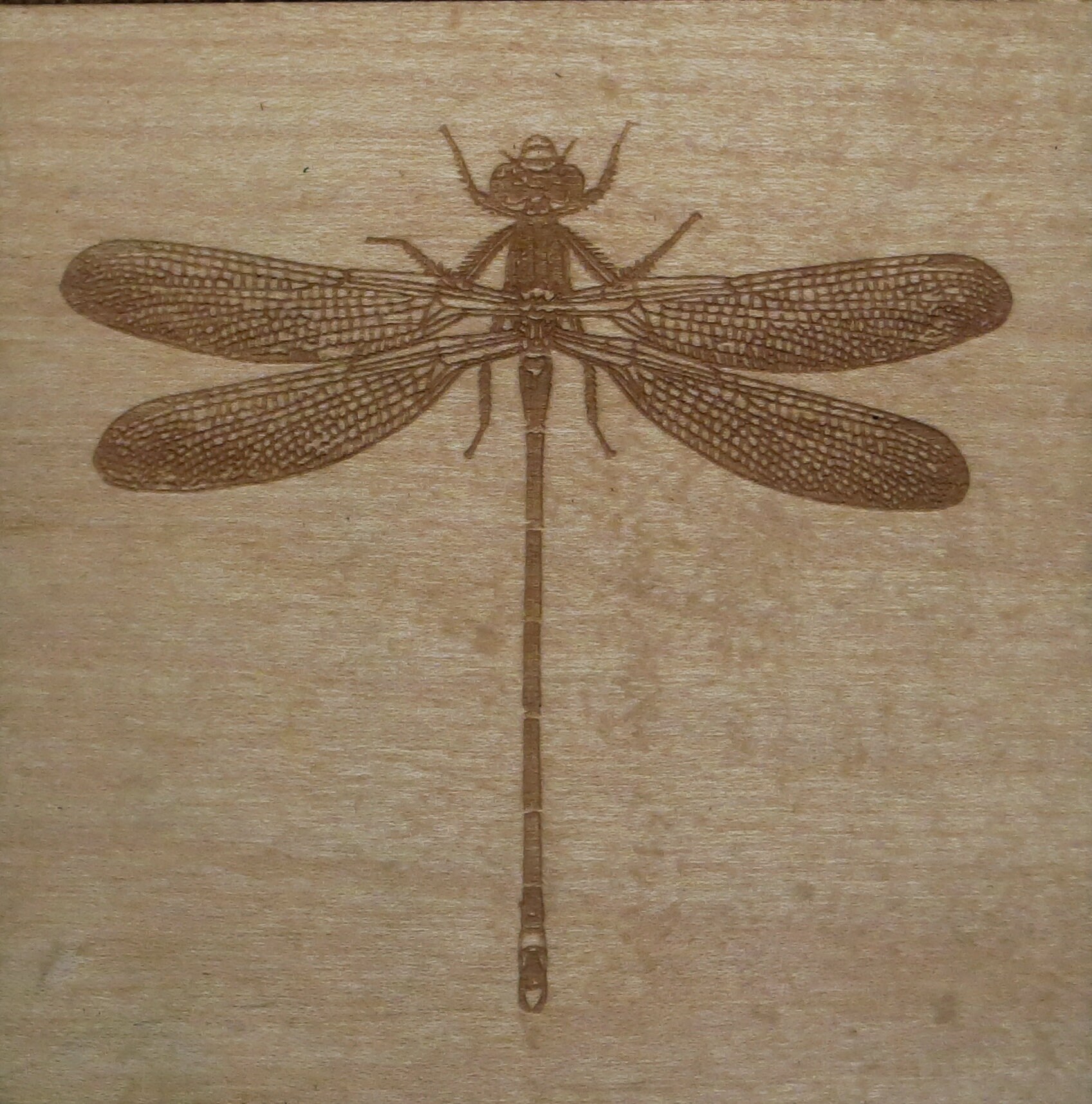 Dragonfly Box Engraved Spirit Animal Totem Animal Power | Etsy