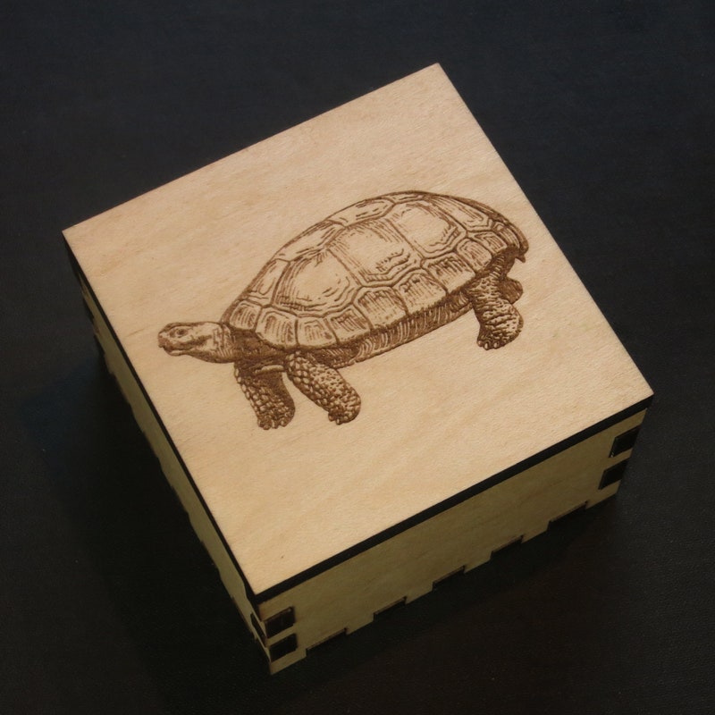 Turtle Jewelry Box - Etsy