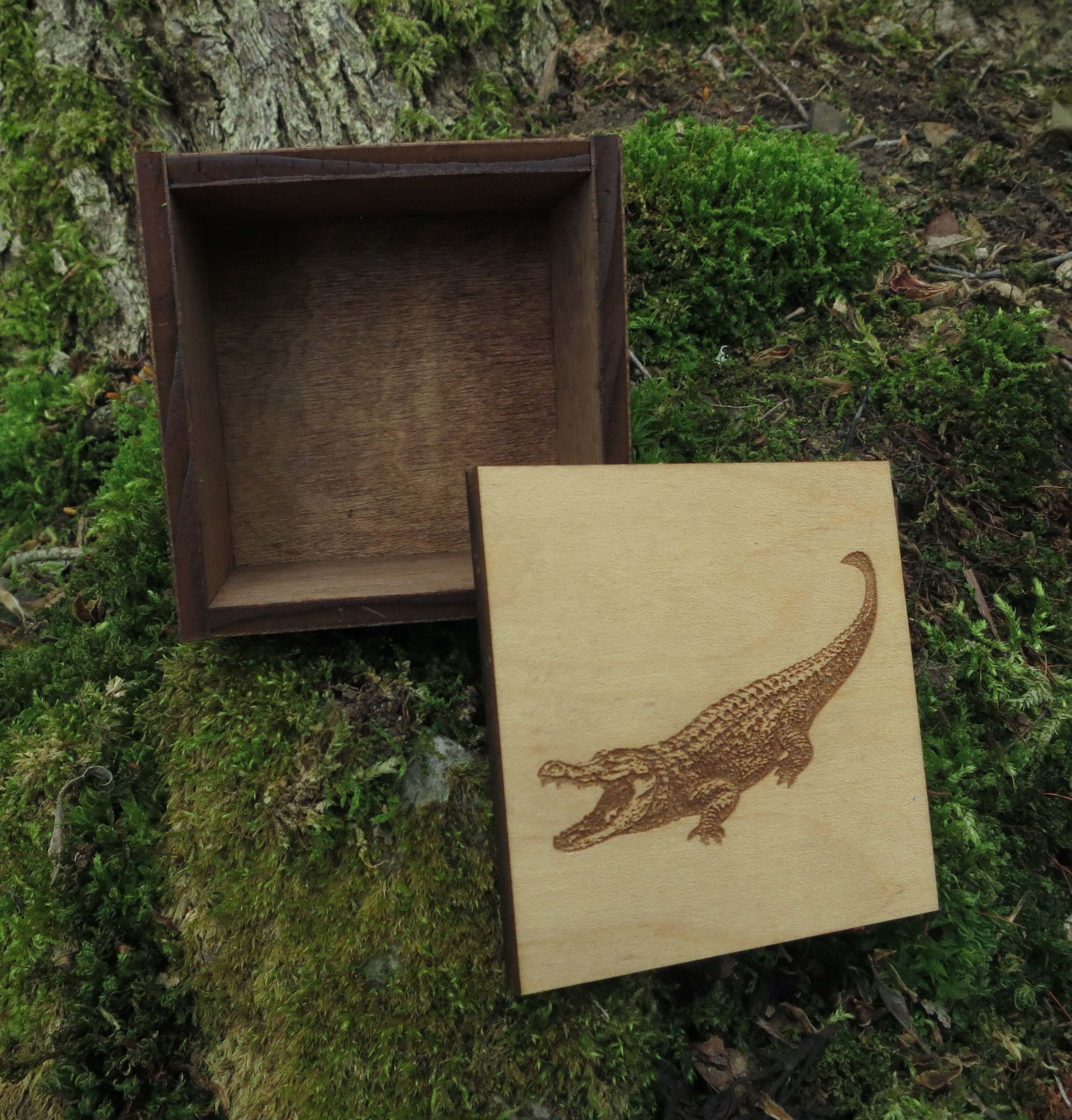Alligator Box Engraved, Spirit Animal, Totem Animal, Power Animal ...