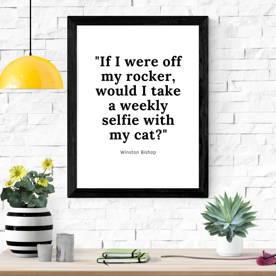 If I Were off My Rocker, Would I Take a Weekly Selfie With My Cat New ...