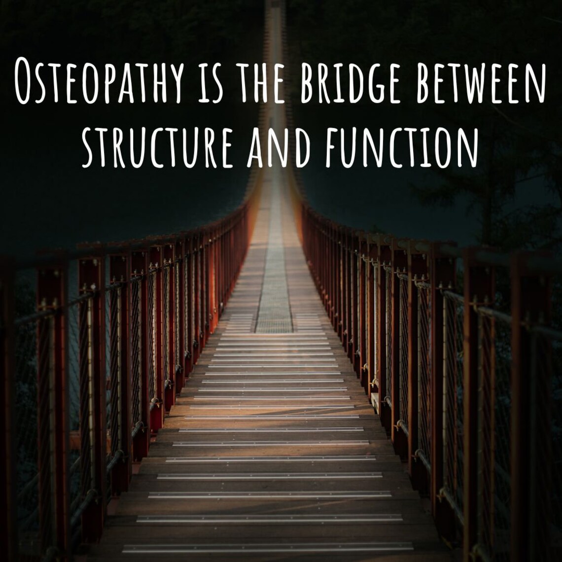 100+ Osteopathy Instagram Social Media, Osteo Quote Posts, Osteopath ...
