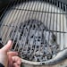 Stainless Steel Grate Risers for the Mini Max Big Green Egg Set of 3 ...