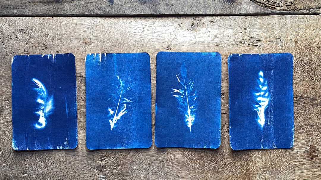 Cairngorm Cyanotype Feather Collection - Etsy