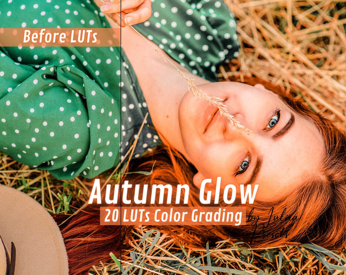 20 Affinity Luts AUTUMN GLOW Video Luts Premiere Dark Green | Etsy