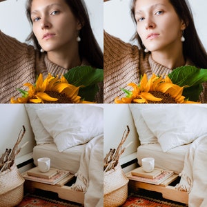 20 NATURAL Luts Premiere, Neutral Film LUT Video Presets, Clean ...