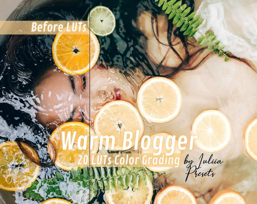 20 Premiere Pro Presets Video Luts WARM Blogger, Photoshop Presets ...