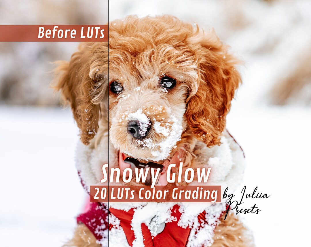 20 Snowy Glow Premiere Pro Luts Winter Final Cut Pro Video - Etsy