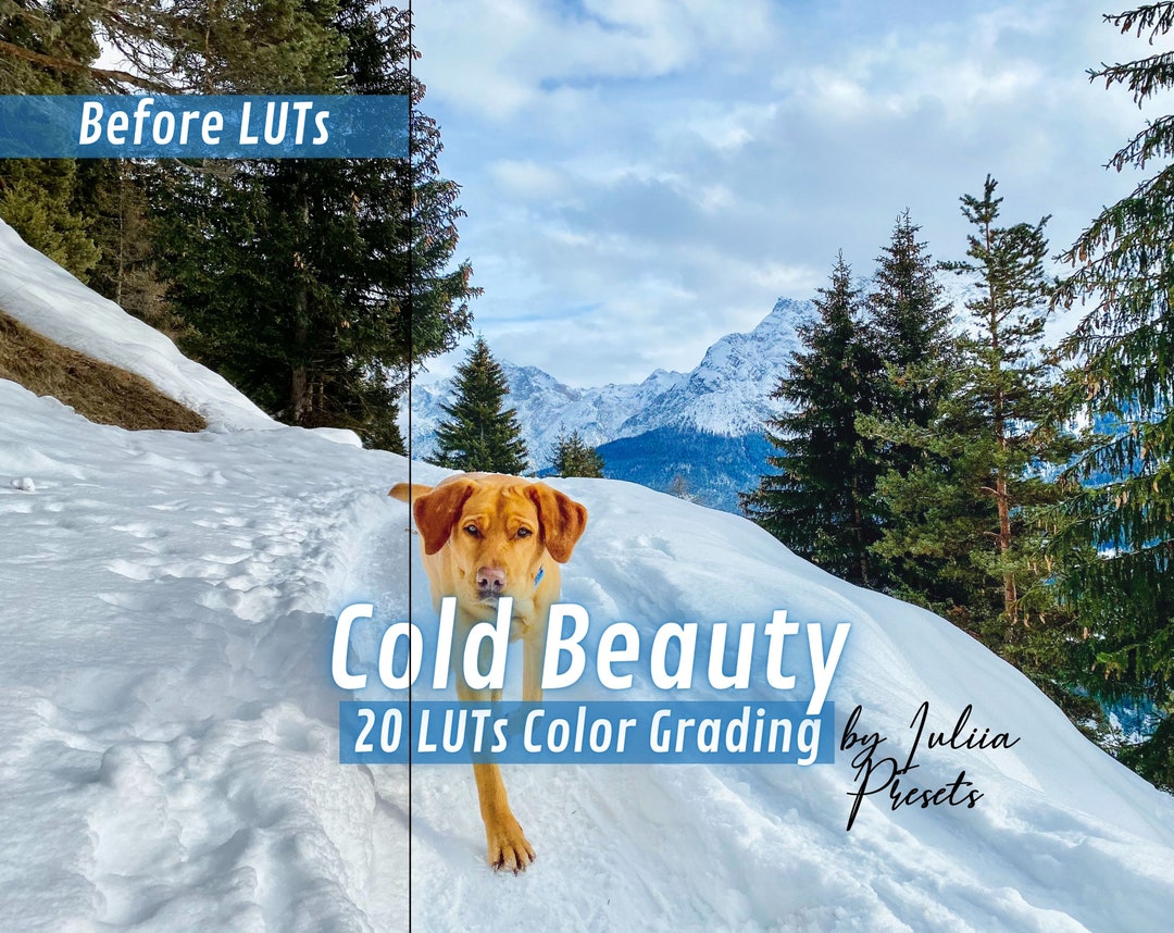 20 Cold Beauty Winter Luts Pack, Bright Color Grading Presets for ...
