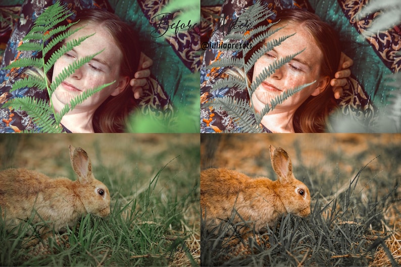 Free luts affinity photo - artistsglop