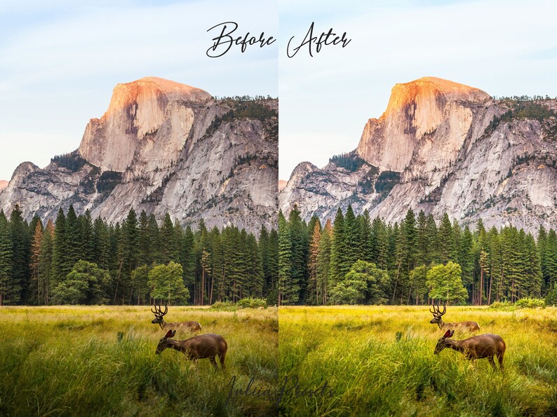 20 LANDSCAPE LUT Pack for Final Cut Pro, Affinity Luts Premiere, Video ...