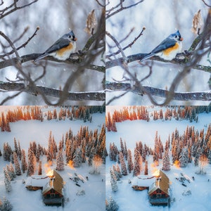 20 Cold Beauty Winter Luts Pack, Bright Color Grading Presets for ...