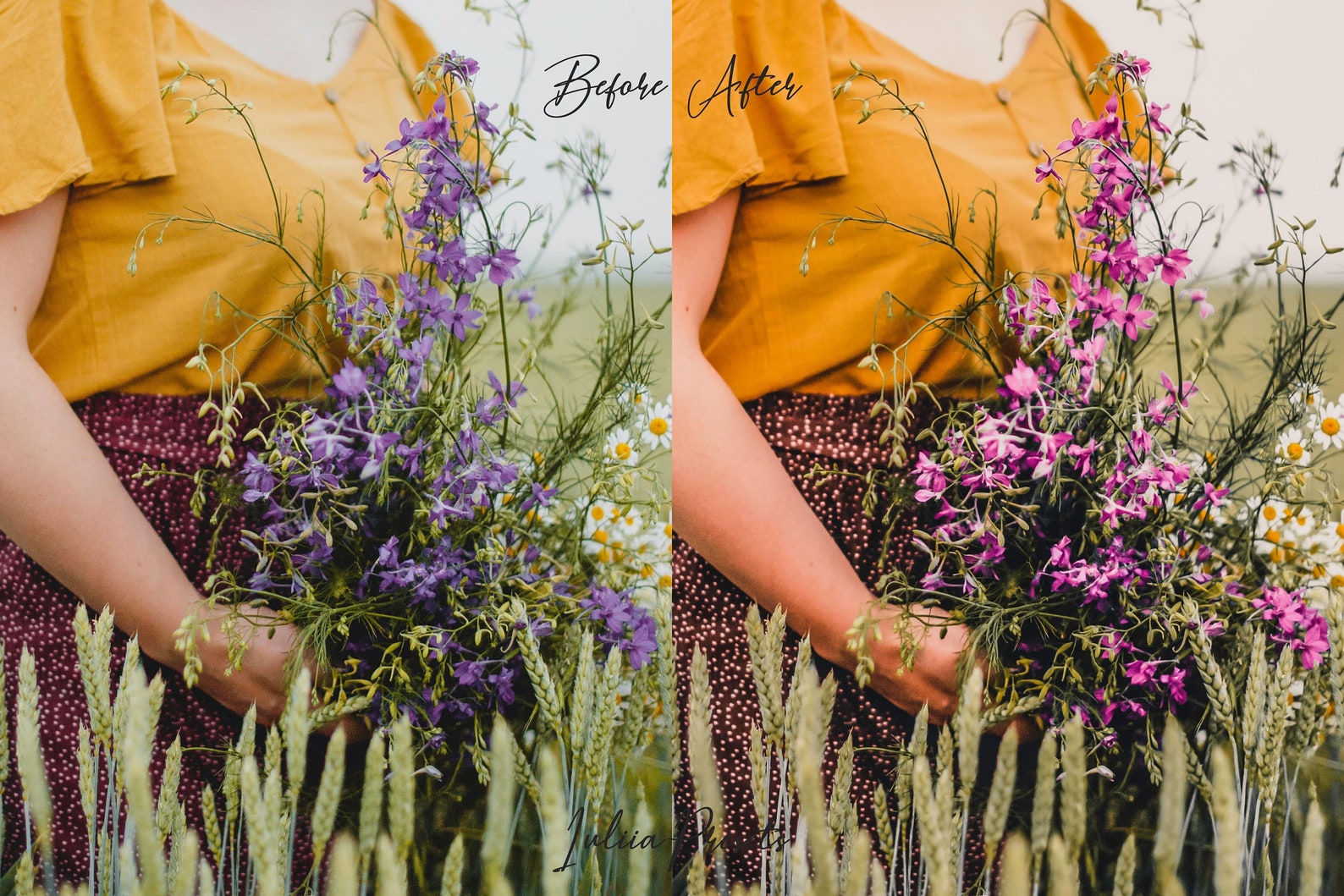 20 Affinity Luts AUTUMN GLOW Video Luts Premiere Dark Green | Etsy