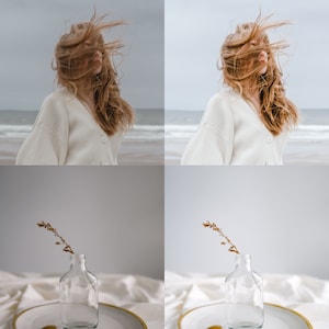 20 NATURAL Luts Premiere, Neutral Film LUT Video Presets, Clean ...