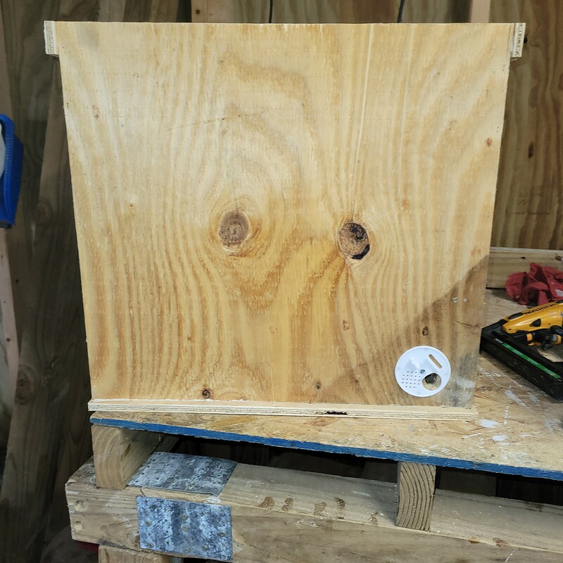 Carpenter Bee Trap - Etsy