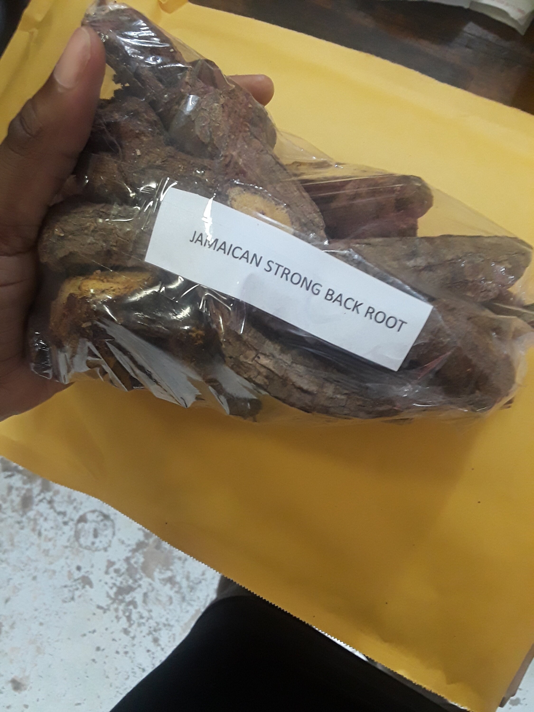 Strong Back Root | Etsy