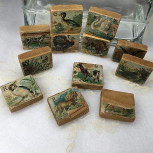 Antique Victorian Lithograph Animal Alphabet Wooden Blocks Full Set of ...