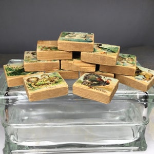 Antique Victorian Lithograph Animal Alphabet Wooden Blocks Full Set of ...