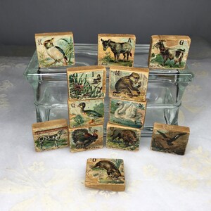 Antique Victorian Lithograph Animal Alphabet Wooden Blocks Full Set of ...