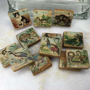 Antique Victorian Lithograph Animal Alphabet Wooden Blocks Full Set of ...