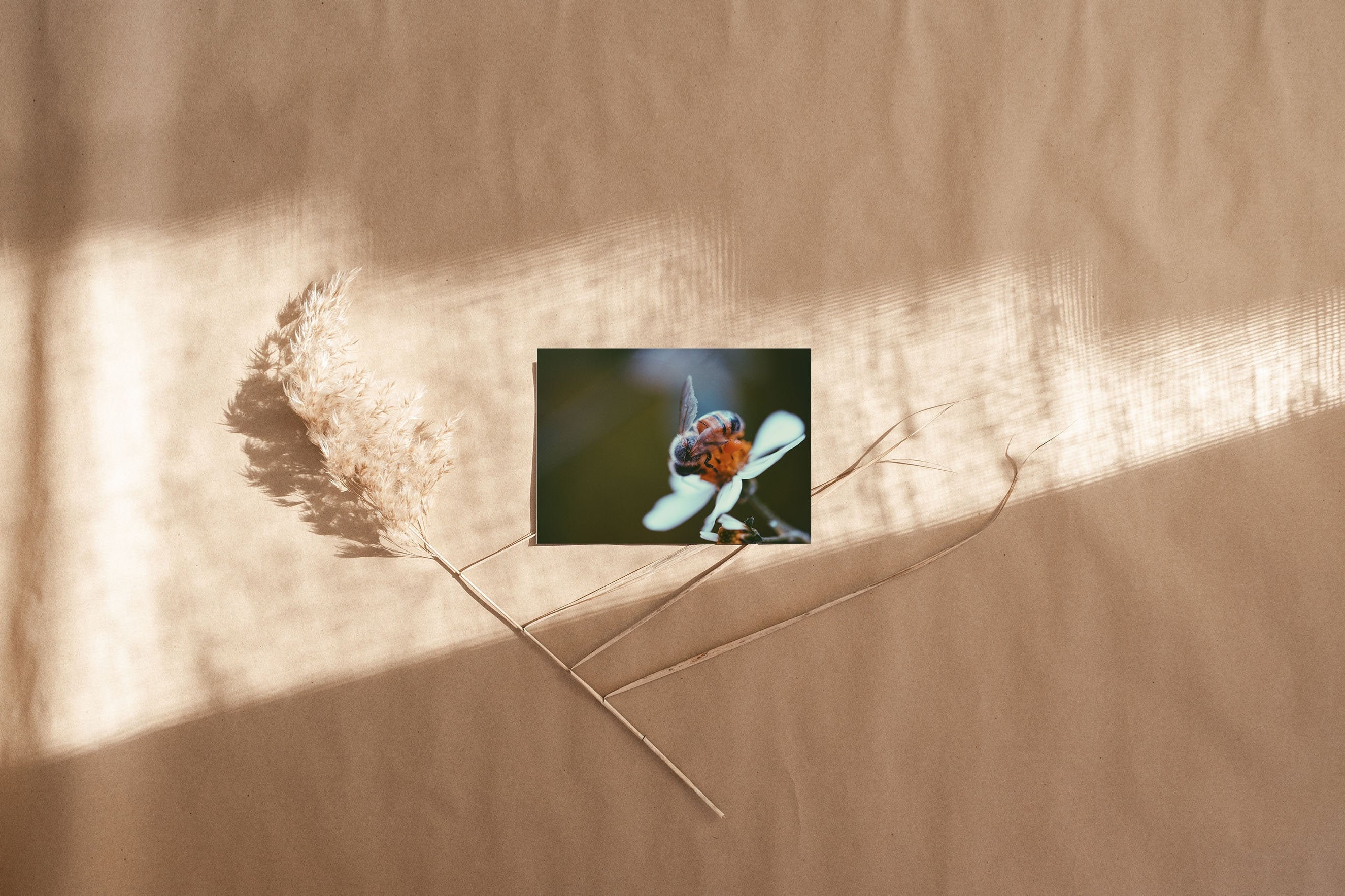 Bee Prints Wall Art, Bee Printable, Insect Prints, Macro Photography ...