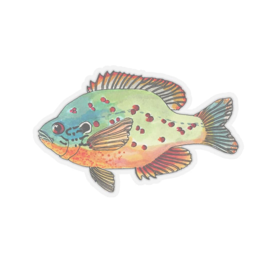 Red-spotted Sunfish - Etsy