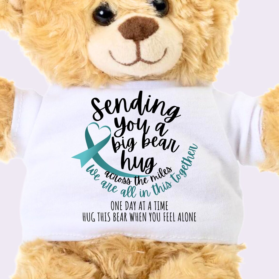 Addiction Recovery Gift: Plush Support Bear With Customizable Tee - Etsy