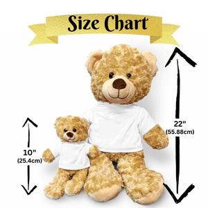 Cancer Patient Gifts, Personalized Teddy Bear, Customized Teddy Bear ...