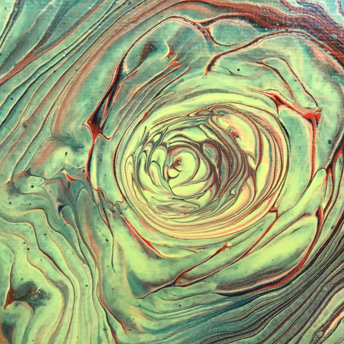 The Burrowing Owl 12 X 12 X 1/2 Abstract Flow Art Acrylic Pour Painting ...