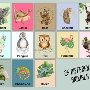 Printable Children's Pages for Preschool, Daycare, Homeschool | Animal ...