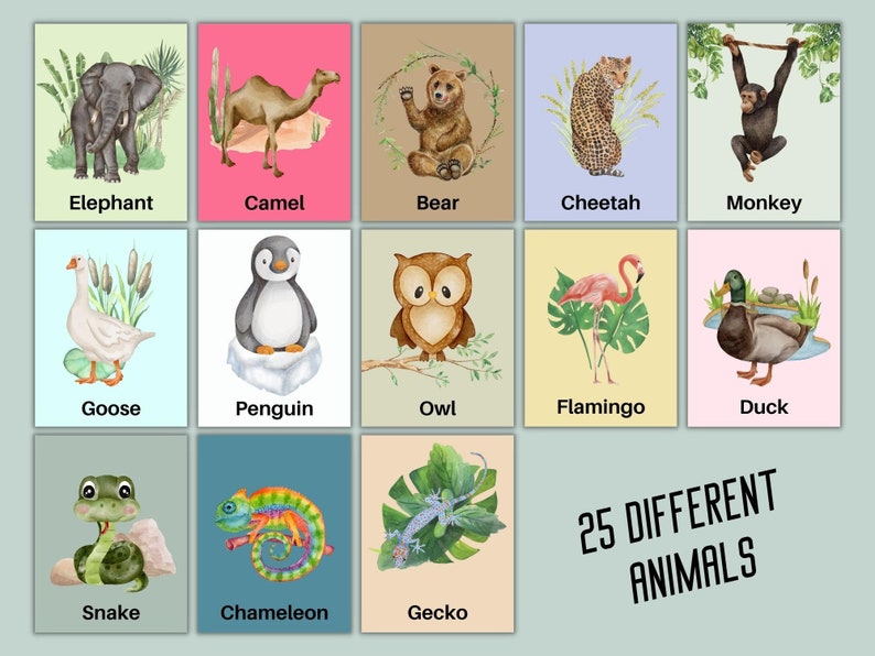 Printable Children's Pages for Preschool, Daycare, Homeschool | Animal ...