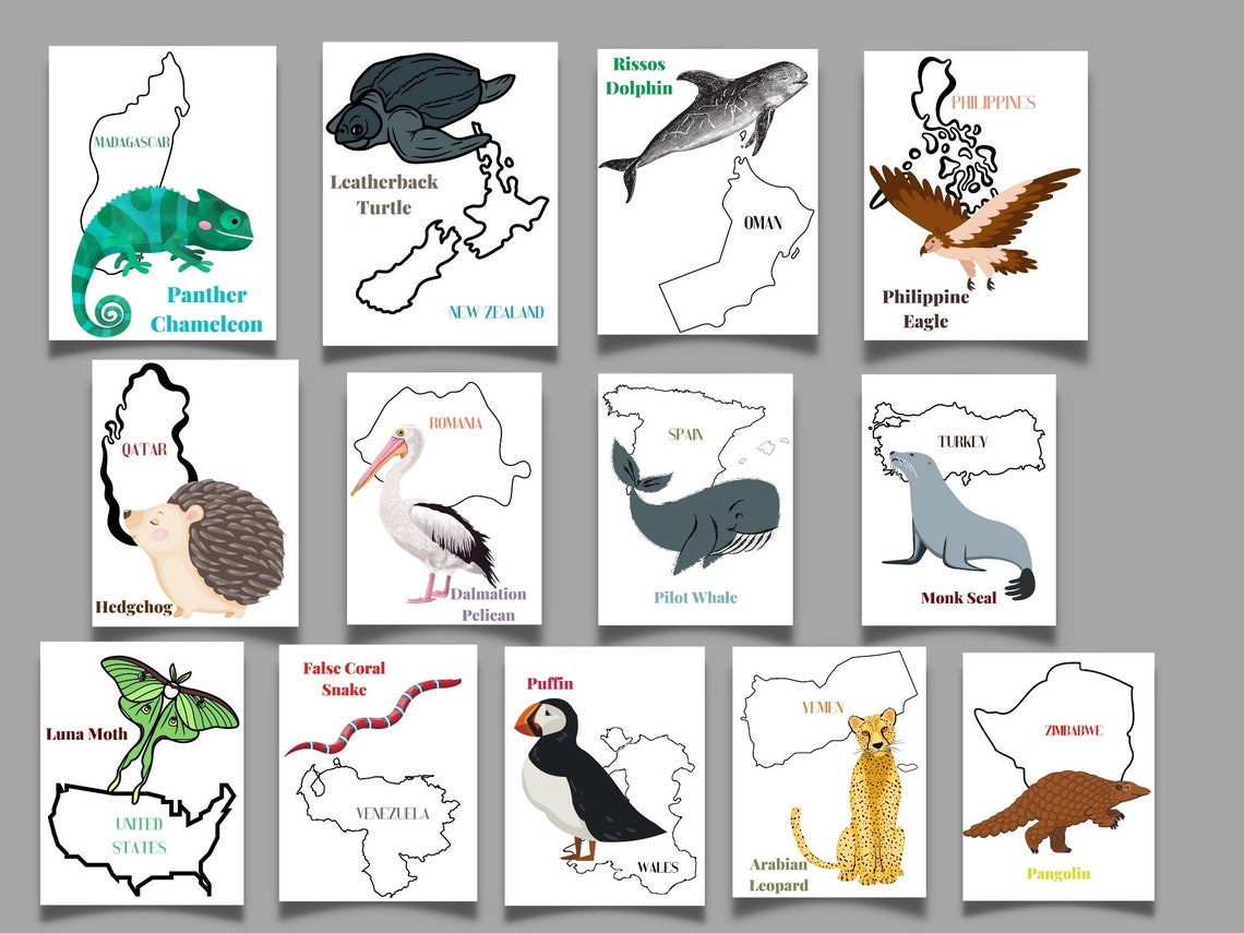 Printable Alphabet Countries and Their Animals-learning About Countries ...