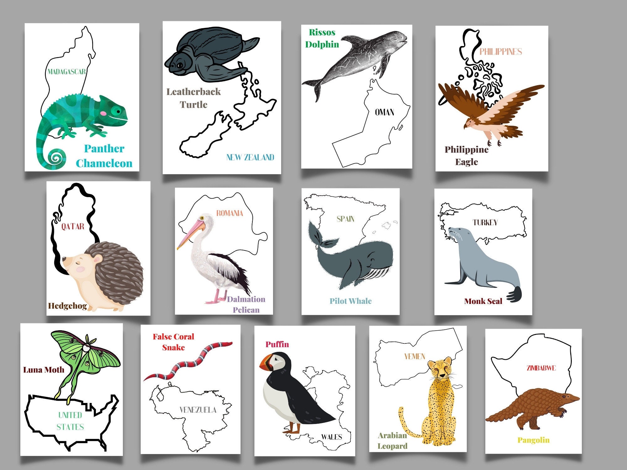 Printable Alphabet Countries and Their Animals-learning About Countries ...