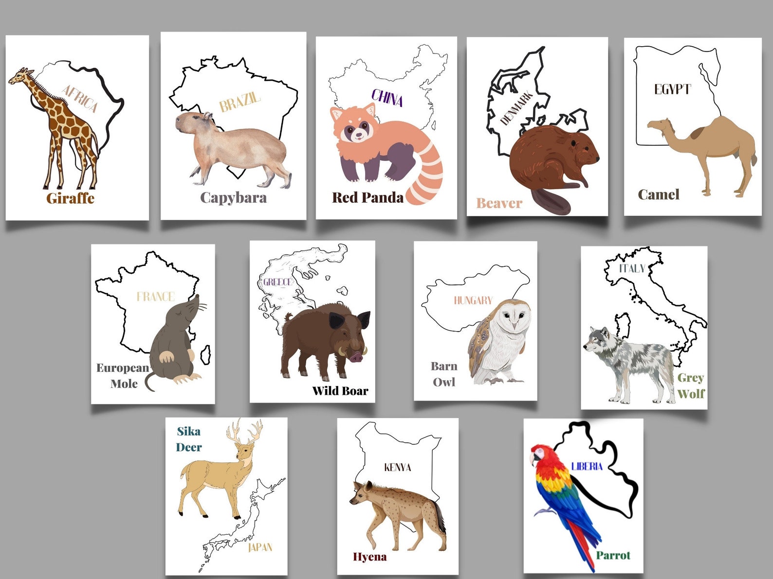 Printable Alphabet Countries and Their Animals-learning About Countries ...