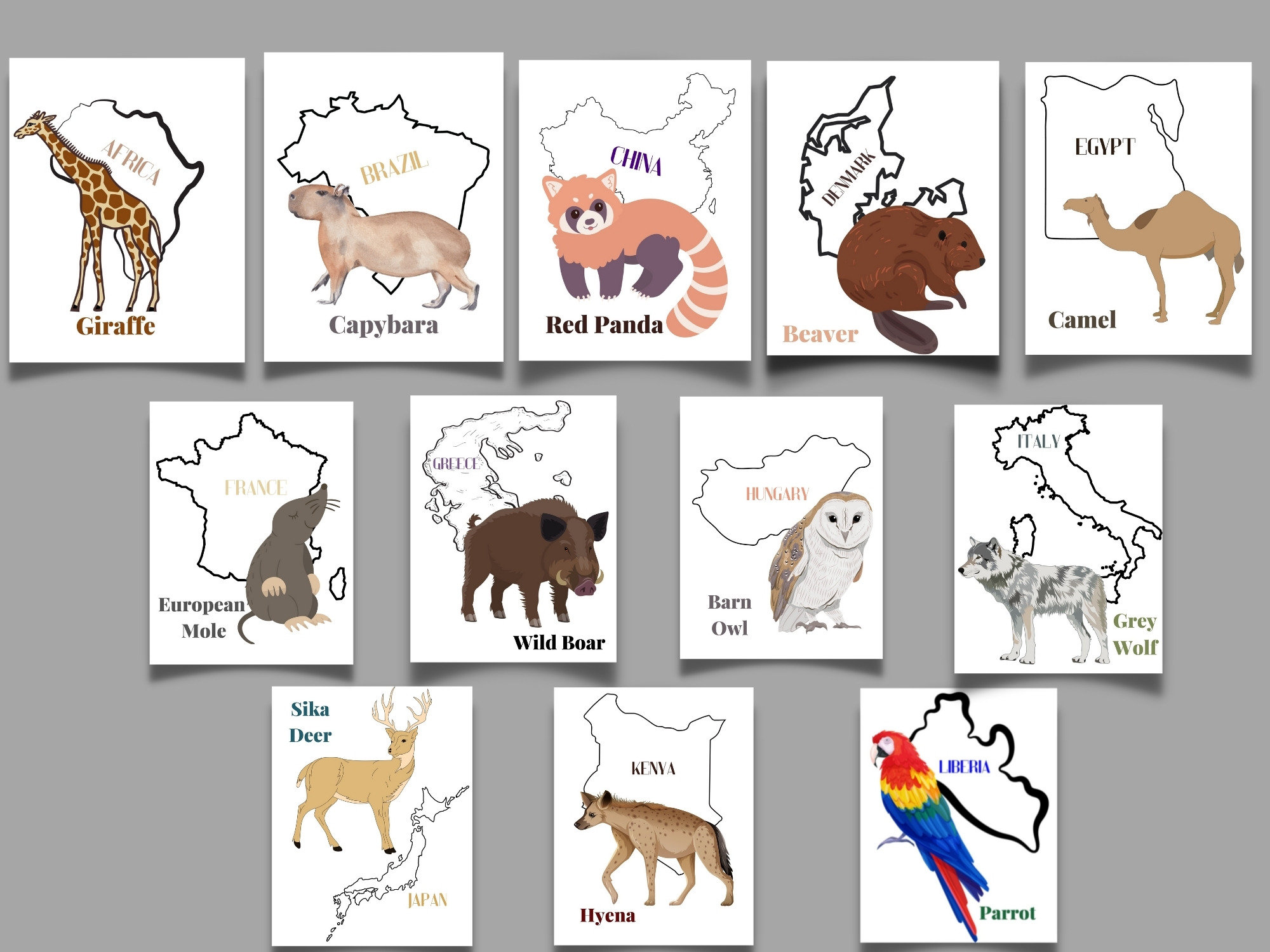 Printable Alphabet Countries and Their Animals-learning About Countries ...